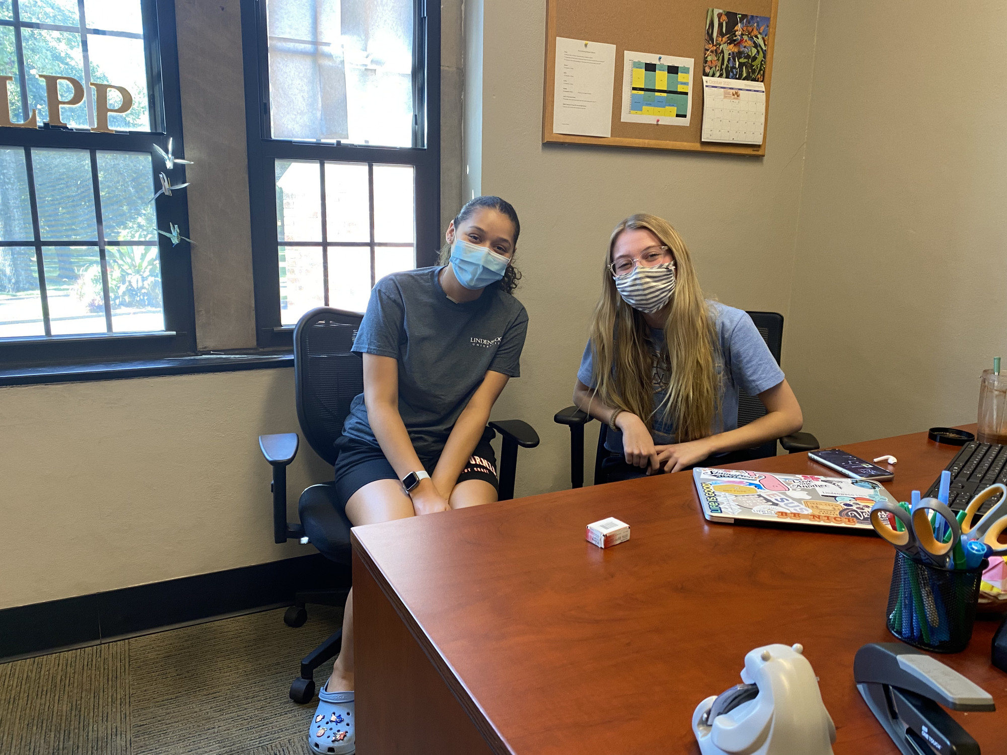 Lindenwood Participant Pool (LPP) for Psychology Research | Lindenwood ...